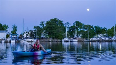 Full Moon Paddle with Capital SUP and CoreShark H2O (2023-07-31 ...