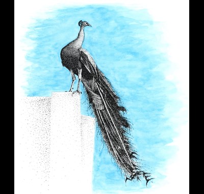 Under Our Wings, Ren Yang (2025-03-15) | VisitMaryland.org