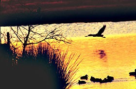 Chapel Point State Park | VisitMaryland.org