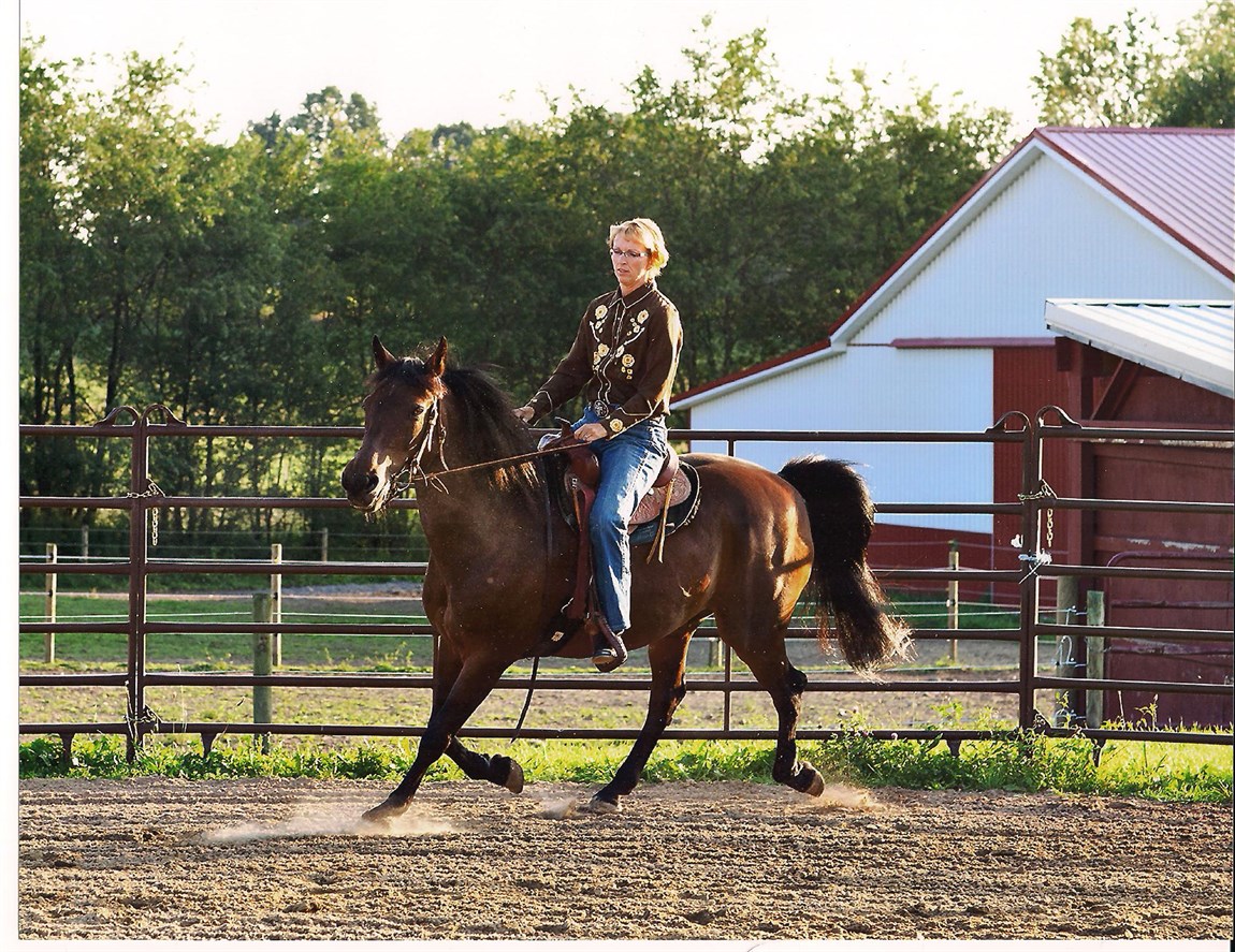 Broken Spoke Stable | VisitMaryland.org