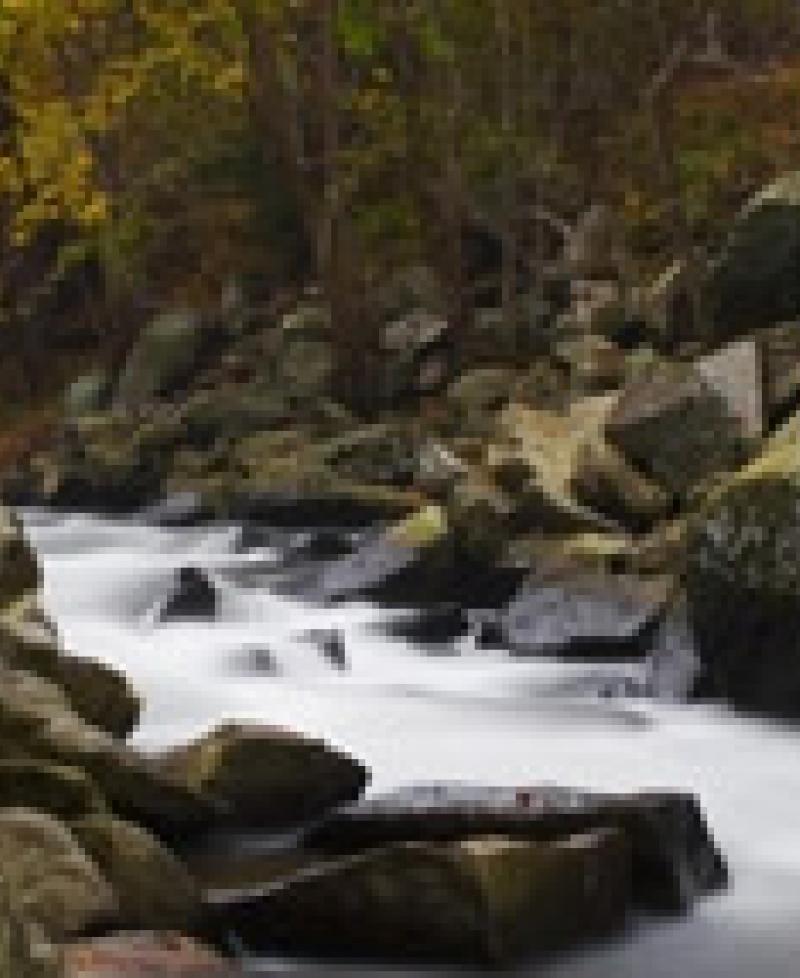 Rocks State Park | VisitMaryland.org