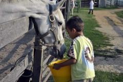 10 Places to Learn to Ride Horses | Visit Maryland