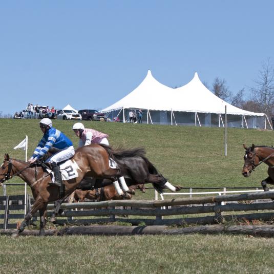 Horses & Hounds | VisitMaryland.org