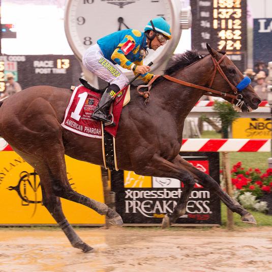 Preakness Stakes | VisitMaryland.org