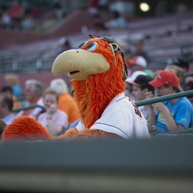 Delmarva Shorebirds | Maryland Minor League Baseball Teams | Visit Maryland