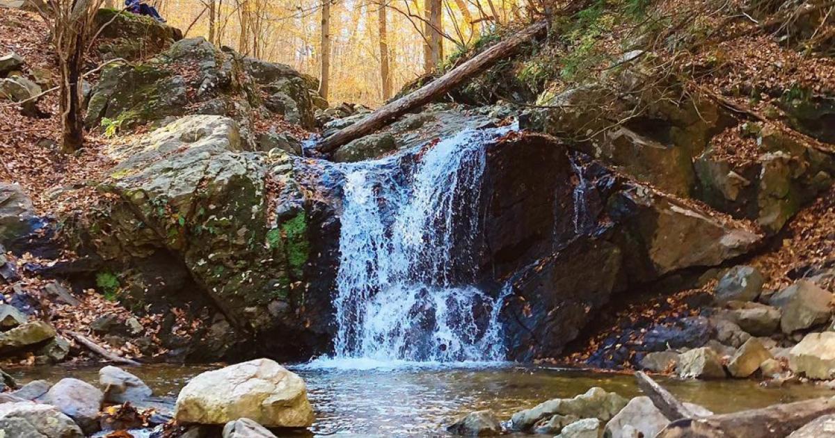 Springtime Delights in Maryland | VisitMaryland.org
